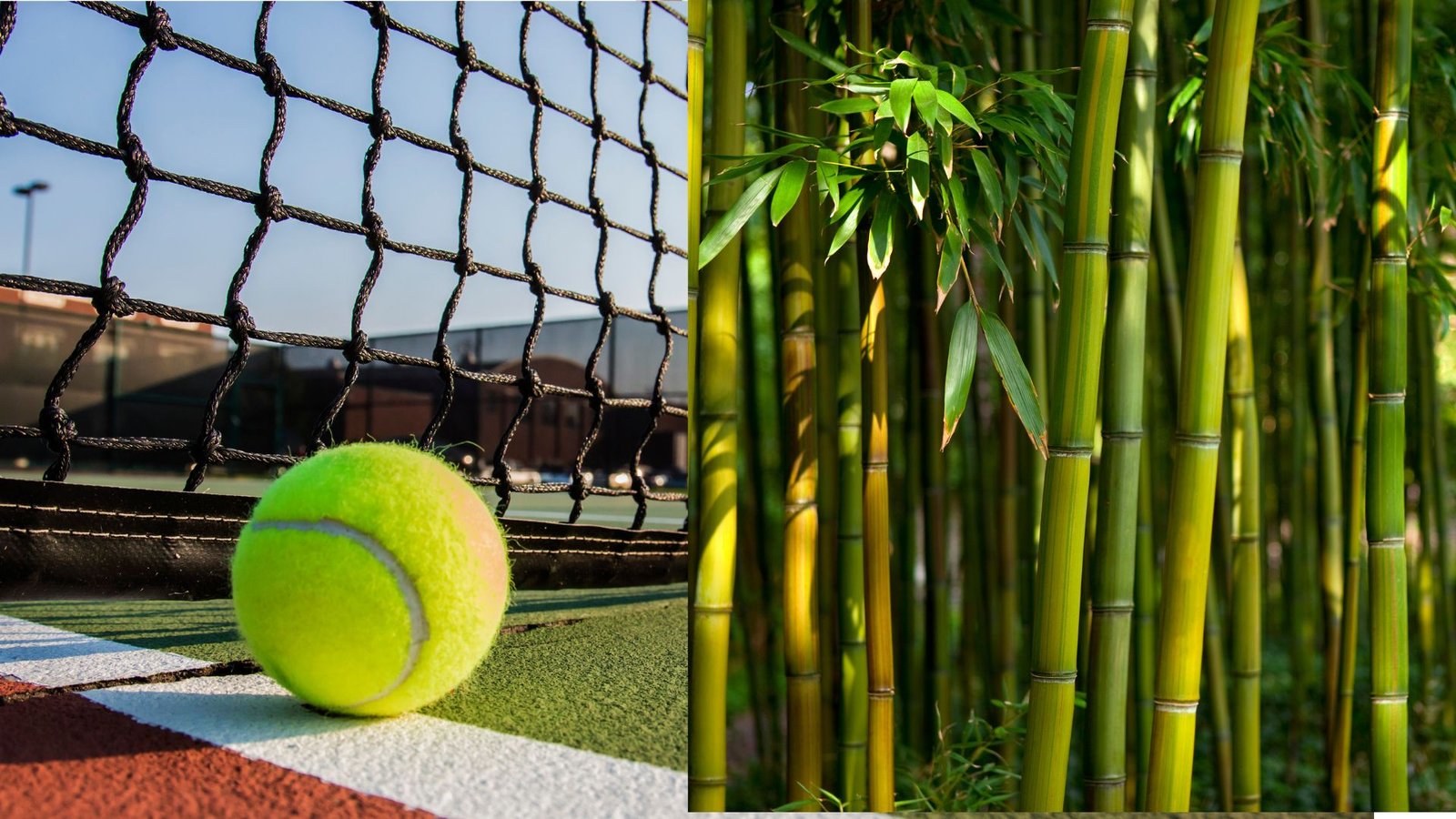 How bamboo and table tennis are transforming rural India ...